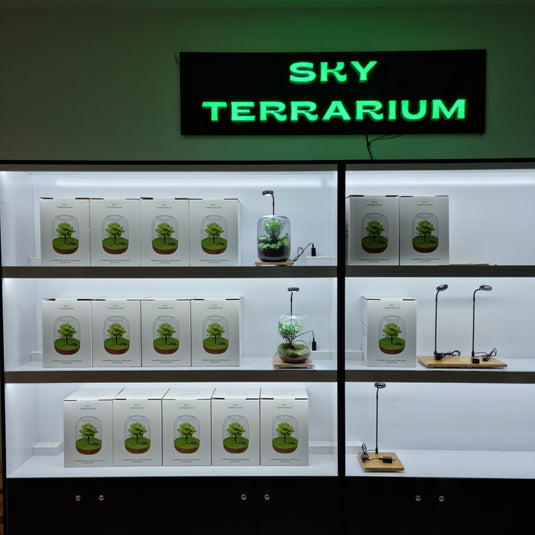 Sky Terrarium